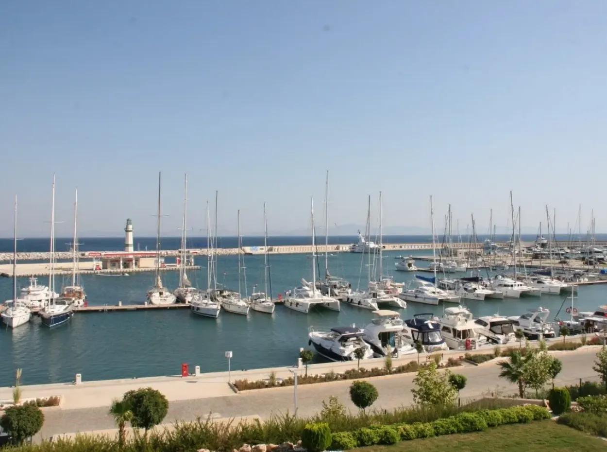 About Didim